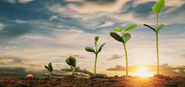 Our business – Polpharma Group B.V.